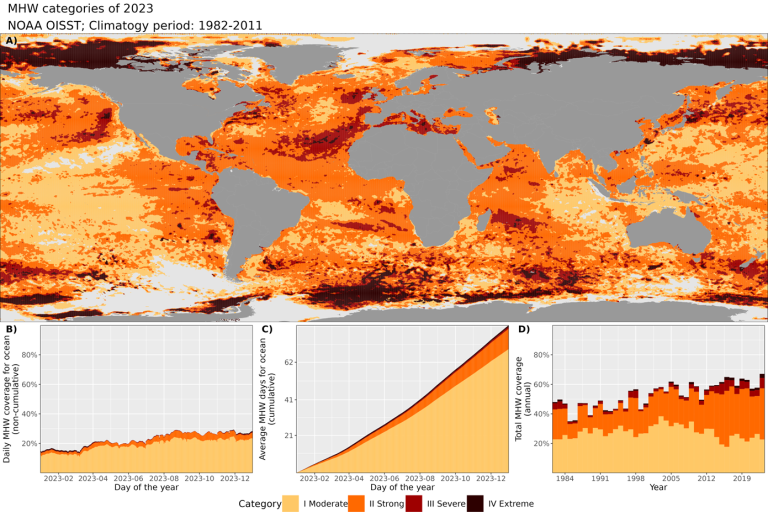Climate change indicators reached record levels in 2023: WMO